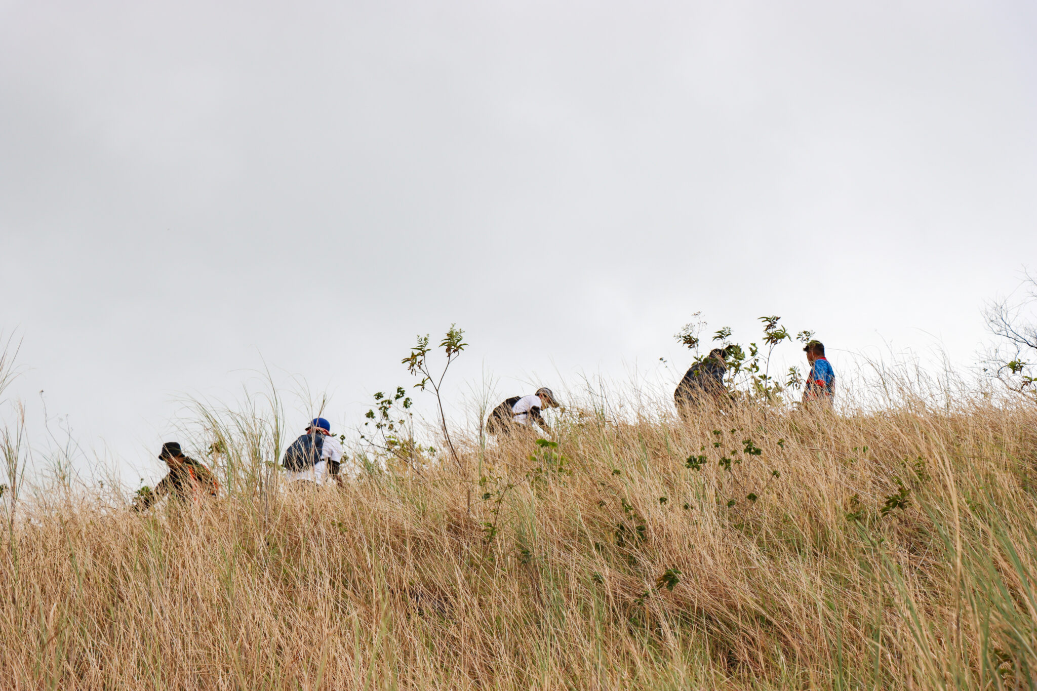 2023 – NSCR-CP02 Nature Nurture Project at Mt. Balagbag, San Jose Del ...